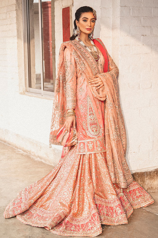 Mojgan | Mohsin Naveed Ranjha Design Studio